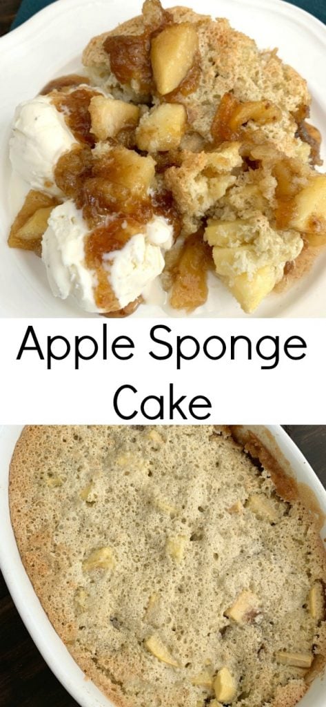 Apple Sponge Pudding Cake - The Endless Appetite